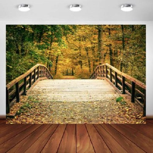 Bridge Backdrop – Ali Affordable